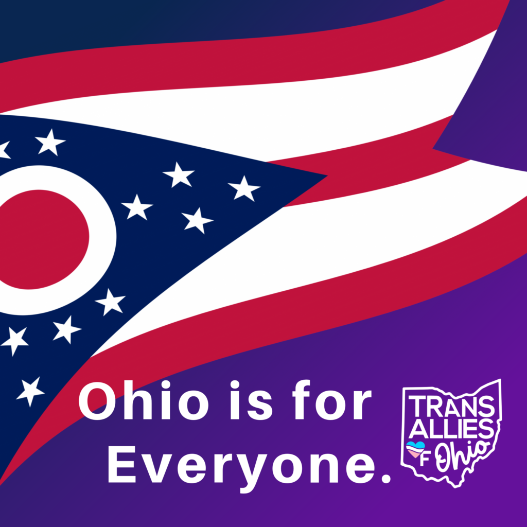 What We're Fighting - Trans Allies of Ohio